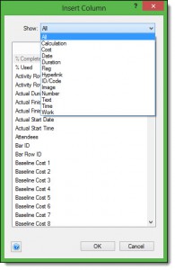 Insert Column Dialogue – Project Management Blog – OnTrack